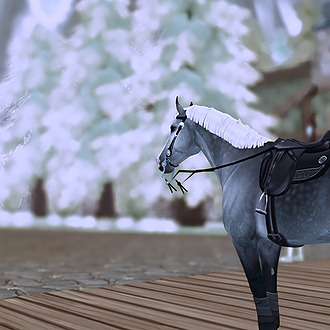 @sso.reshade | Linktree